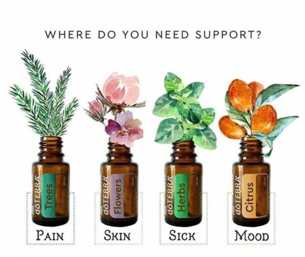 Categories of Essential Oils – Embracing Wisdom