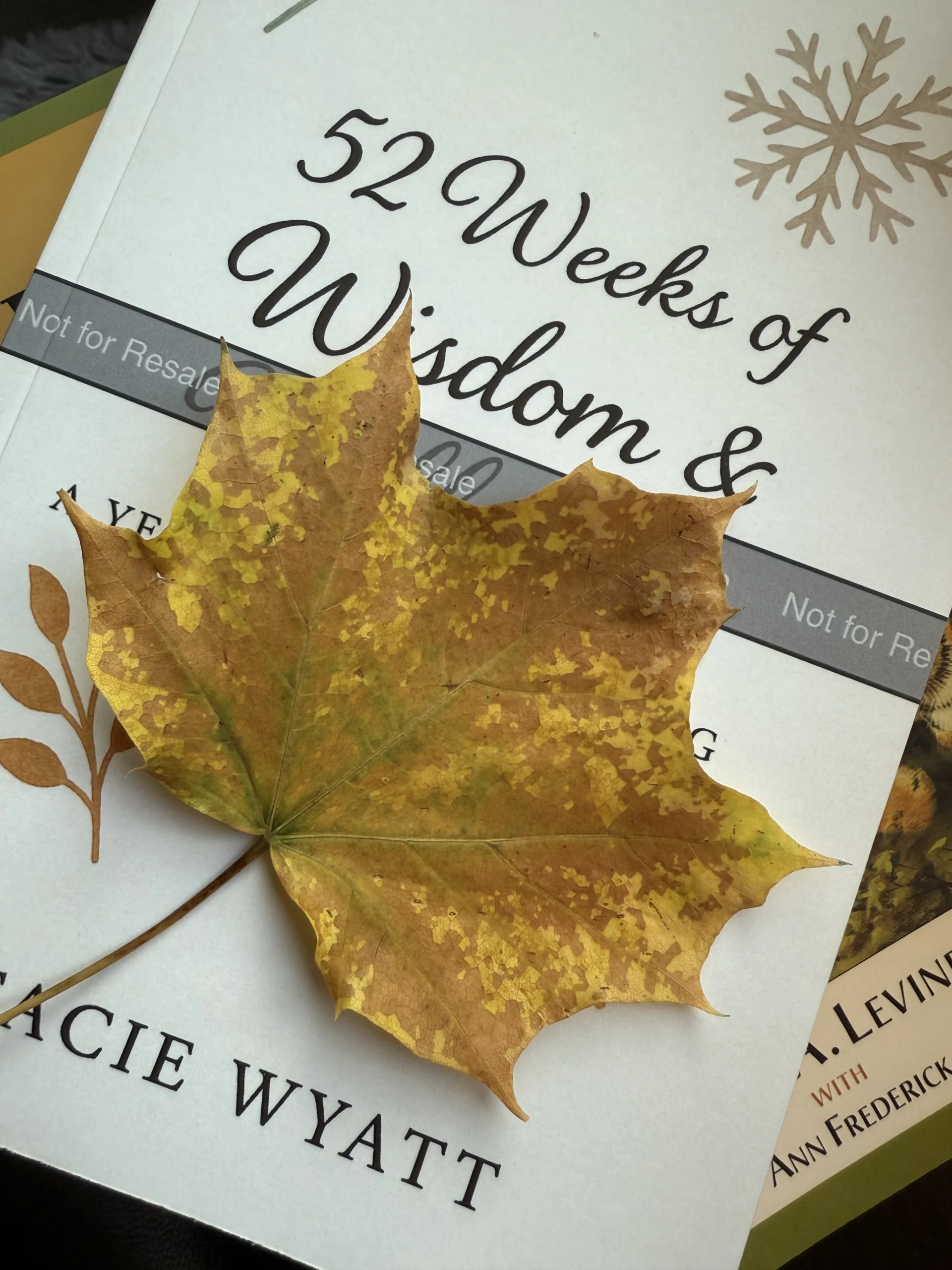 Why 52 Weeks of Wisdom & Wellness Makes the Perfect Holiday Gift ...